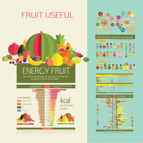 Food Energy Density Chart Royalty Free Vector Image