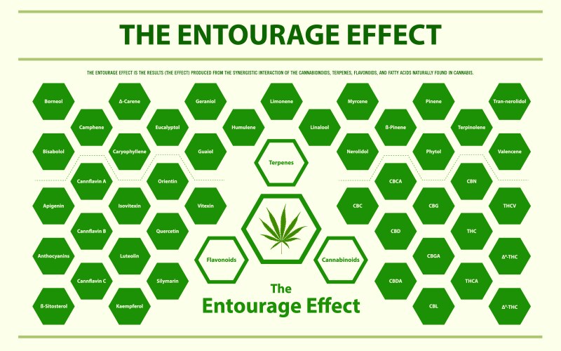 Entourage Vector Images (over 680)
