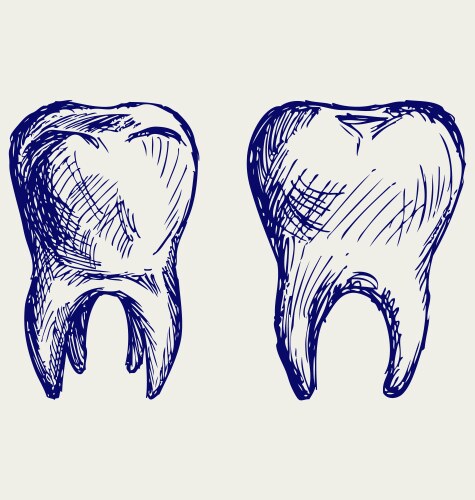 Tooth Vector Images (over 150,000)