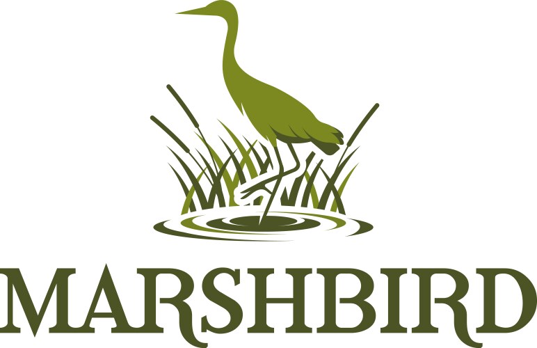 Pond and swamp lake landscape with grass Vector Image