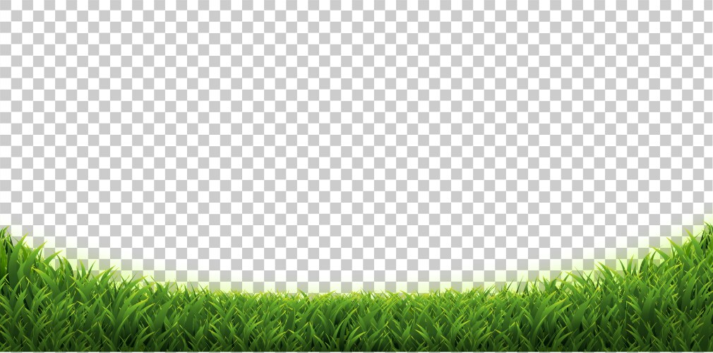 Transparent Frame Border Vector Images (over 26,000)