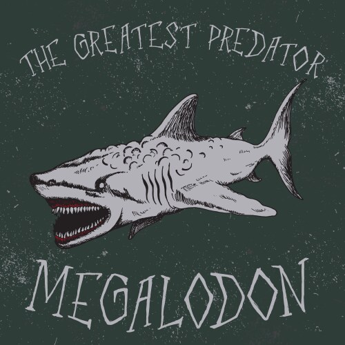 Megalodon Vector Images (over 200)