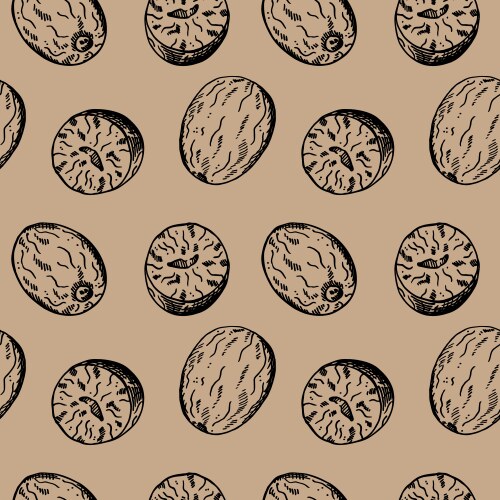 Nutmeg sketch seamless pattern engraved Royalty Free Vector