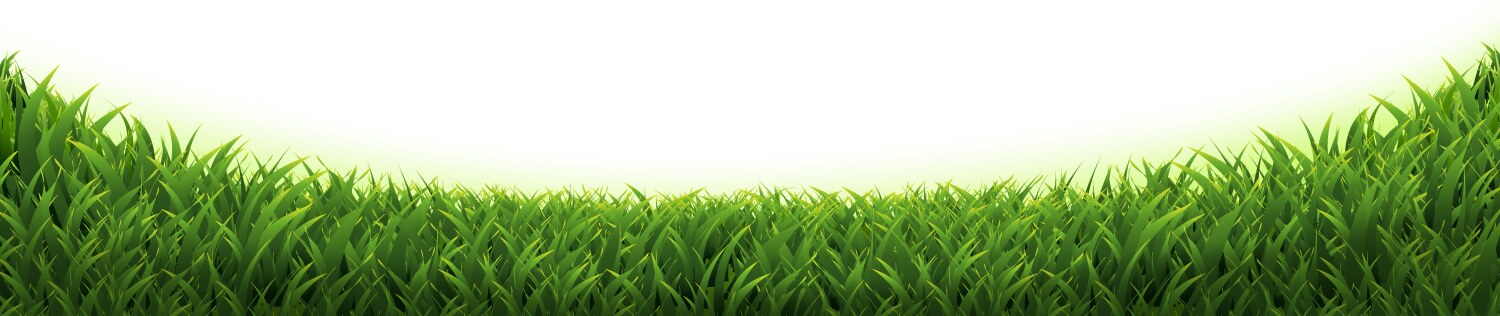 Summer poster with grass border Royalty Free Vector Image
