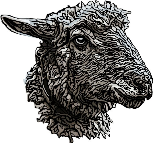Sheep head portrait drawing Royalty Free Vector Image