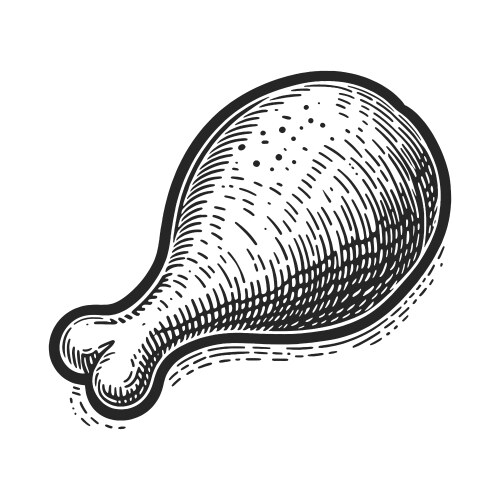 Chicken Leg Texture Vector Images (over 320)