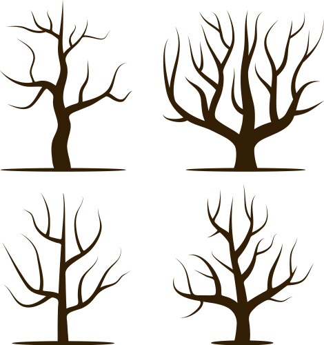 Tree Without Leaves Leaf Vector Images (over 180)