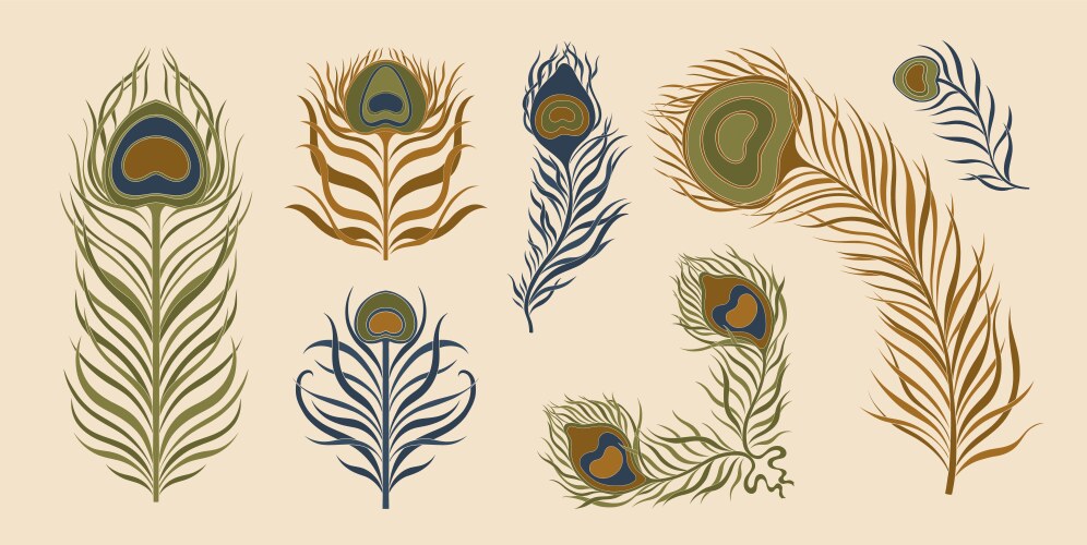 Peacock Feather Border