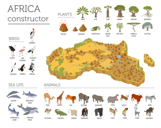 African Animals and Flora Map Royalty Free Vector Image
