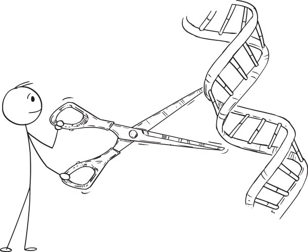 Stickman Study Vector Images (over 230)