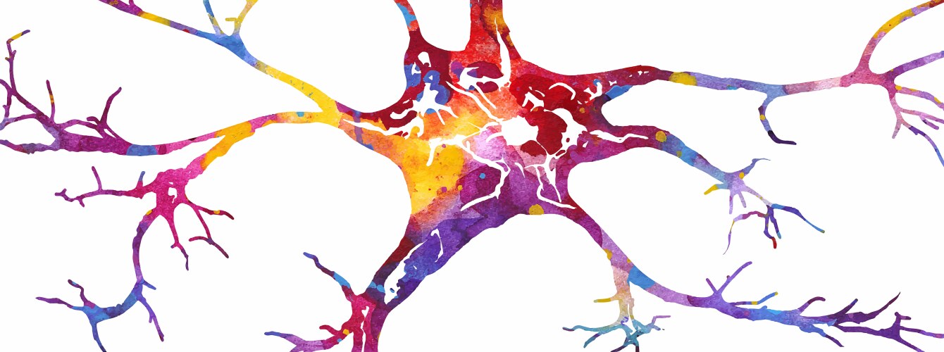 Neuron Vector Images (over 16,000)