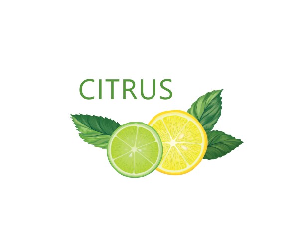 Citron Vector Images (over 4,000)