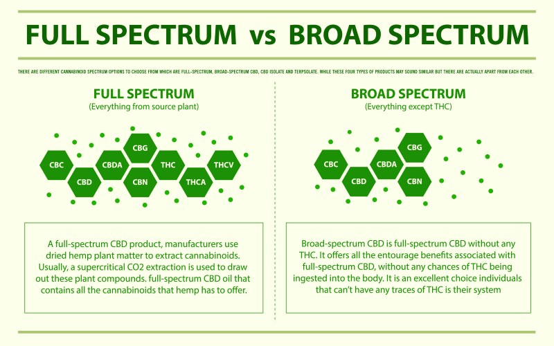 Full spectrum vs broad horizontal Royalty Free Vector Image