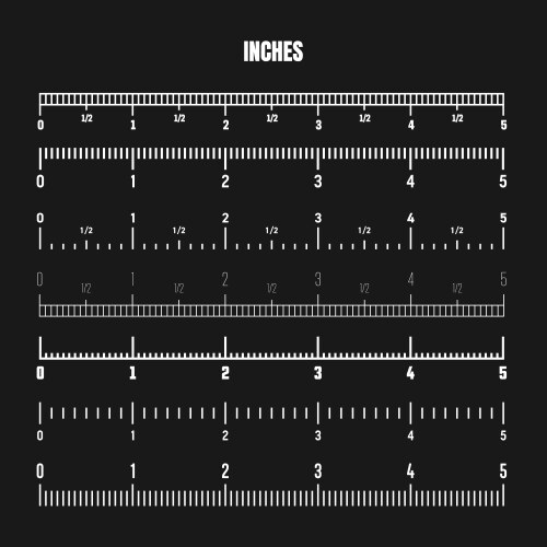 White ruler scales size indicators measurement Vector Image