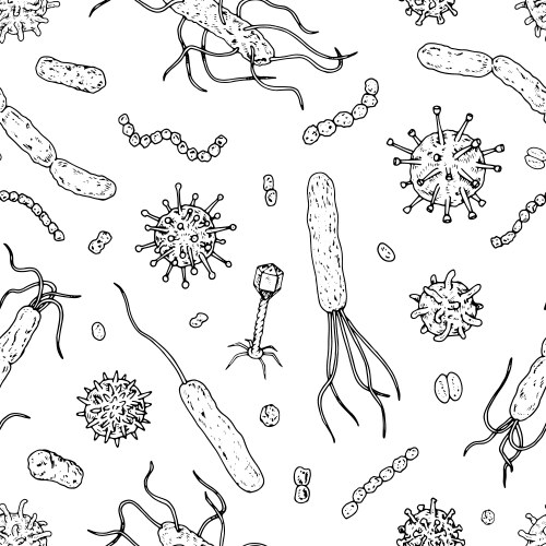 Fungal Cell Vector Images (over 150)