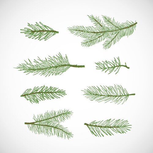 Evergreen Tree Vector Images (over 38,000)