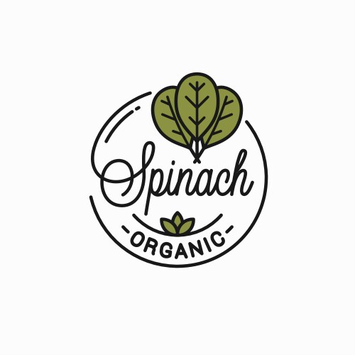 Spinach Vector Images (over 10,000)