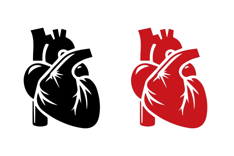 Cardiac Vector Images (over 28,000)