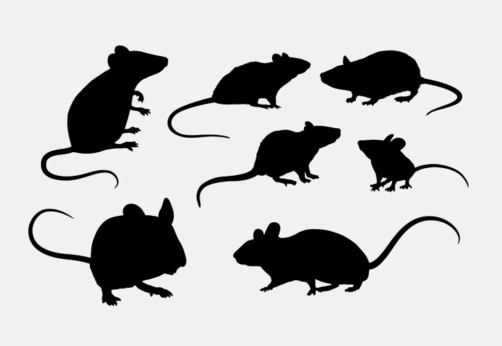 Rat Vector Images (over 33,000)
