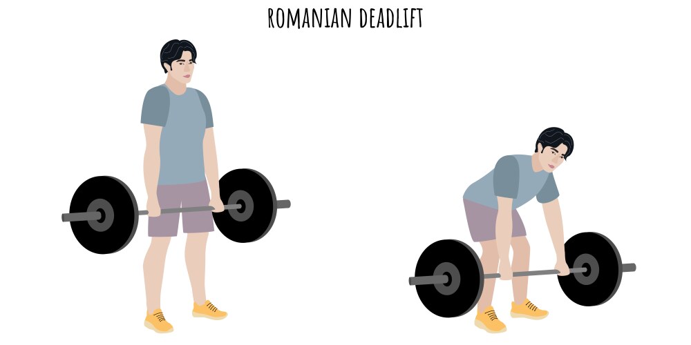 Deadlift Vector Images (over 1,000)