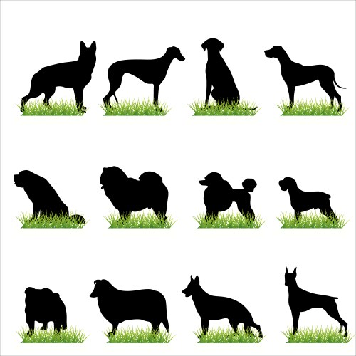Dogs Vector Images (over 430,000)