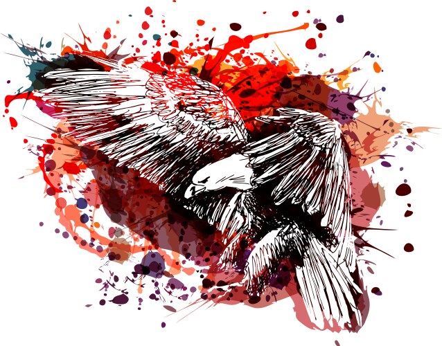 Flying Eagle Vector Images (over 39,000)