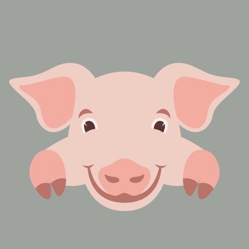 Pig Face Front Vector Images (over 320)