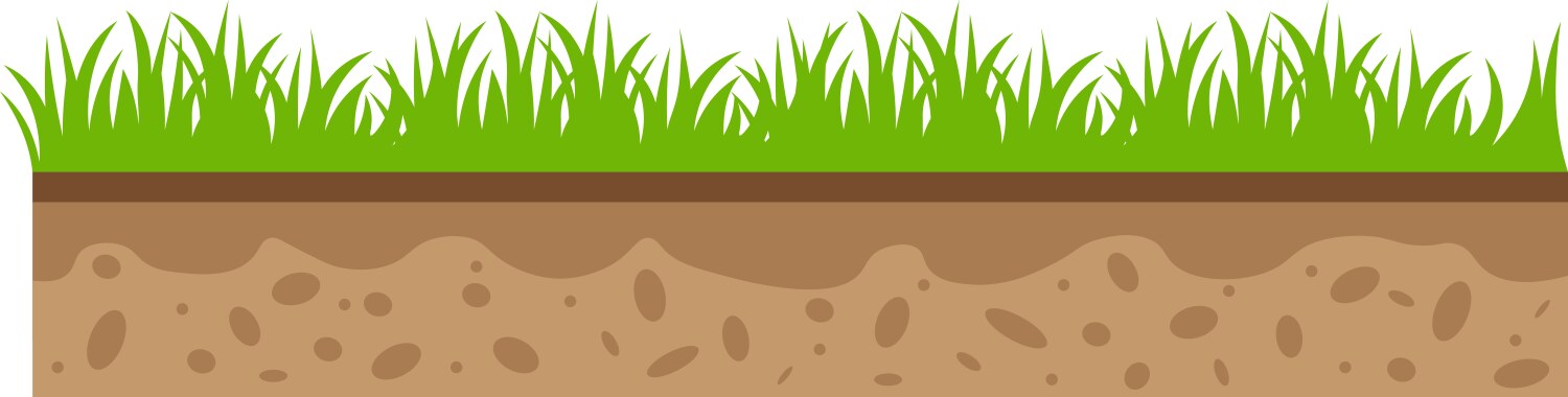 Grass cartoon texture field shape Royalty Free Vector Image