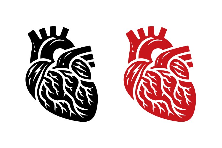 Human cardiac heart silhouette Royalty Free Vector Image