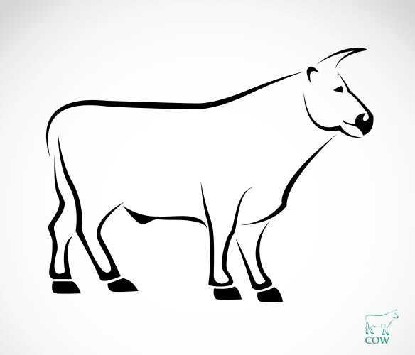 Cow Outline Vector Images (over 23,000)