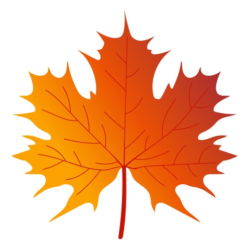 Ground maple leaf cartoon Royalty Free Vector Image