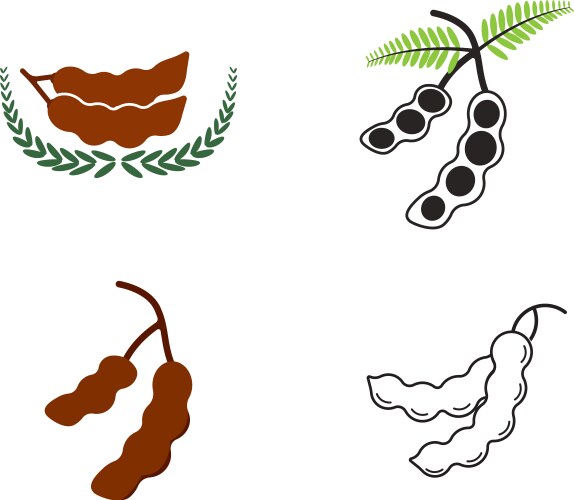 Tamarind outline Vector Images & Graphics for Commercial Use | VectorStock