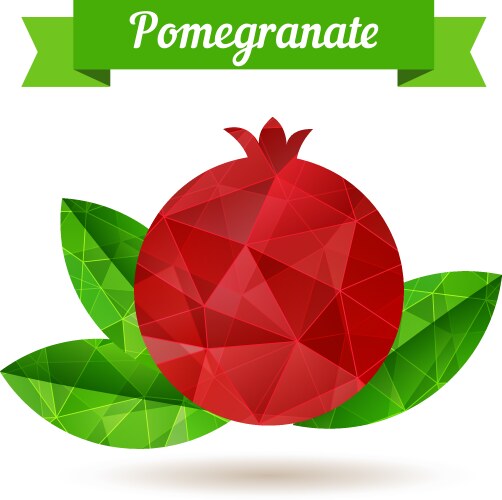 Pomegranate Vector Images (over 20,000)