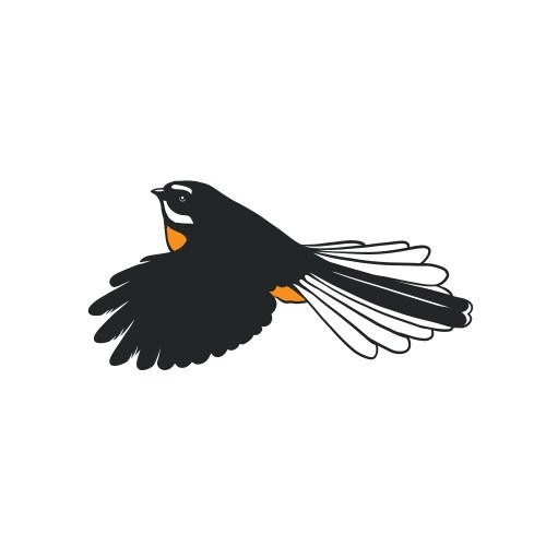 Fantail Vector Images (over 100)