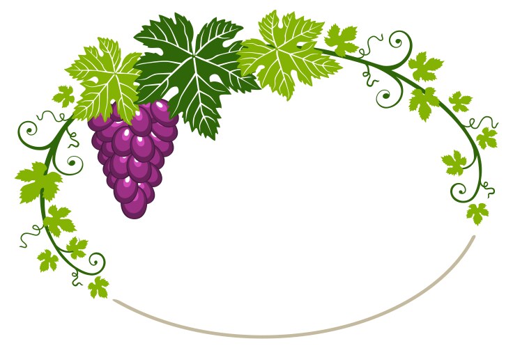 Grape square frame Royalty Free Vector Image - VectorStock