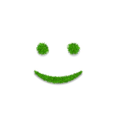 Green grass face smile smiley grassy icon Vector Image