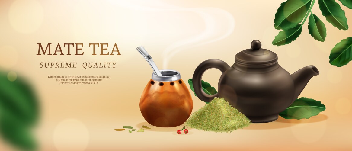 Yerba mate tea branch and calabash Royalty Free Vector Image