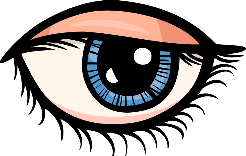 Cartoon image of eye – Royalty-Free Vector | VectorStock