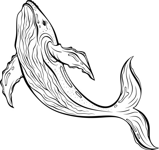 Whale Outline Vector Images (over 7,000)
