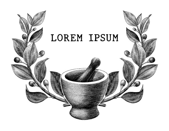 Rice frame clip art hand draw vintage engraving Vector Image