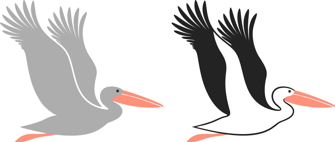 Pelican Royalty Free Vector Image - VectorStock