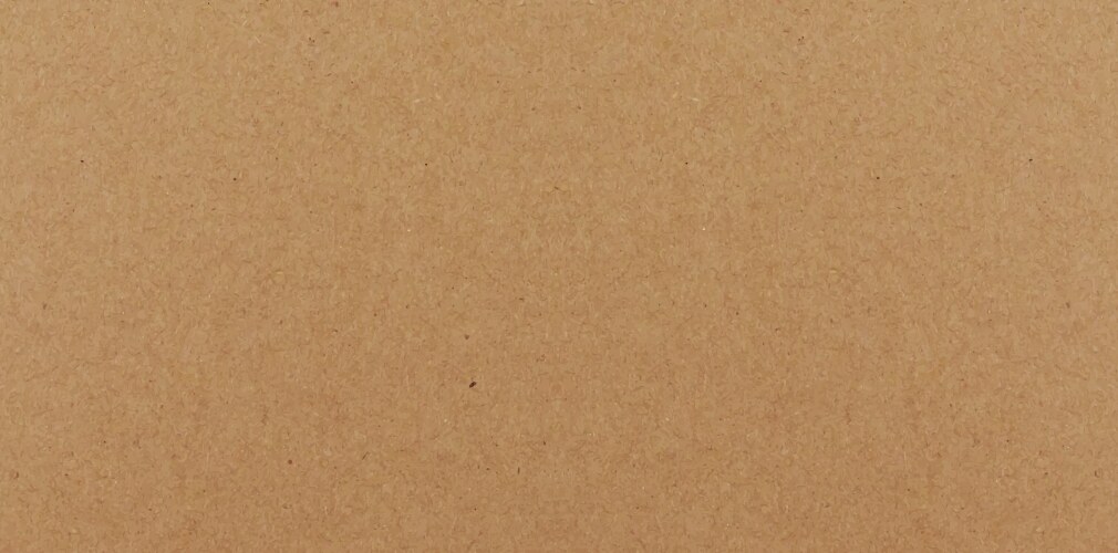 Cardboard seamless texture Royalty Free Vector Image
