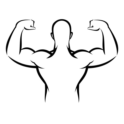 Muscle arm line art Royalty Free Vector Image - VectorStock