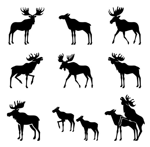 Moose Black and White Vector Images (over 6,500)
