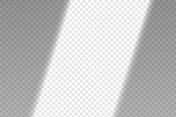 Shadow overlay effect soft realistic Royalty Free Vector