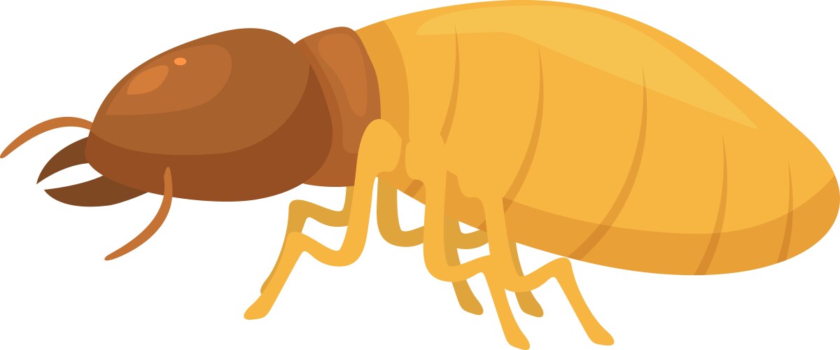 Termite Control Cartoon Vector Images (over 330)