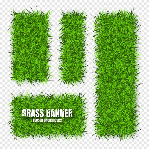 Green grass banners background field meadow Vector Image