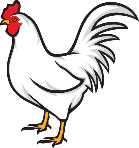 Rooster Vector Images (over 42,000)
