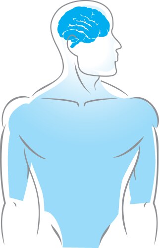 Internal Vector Images (over 490,000)