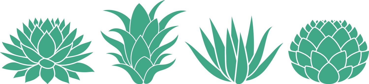 Agave Vector Images (over 5,700)